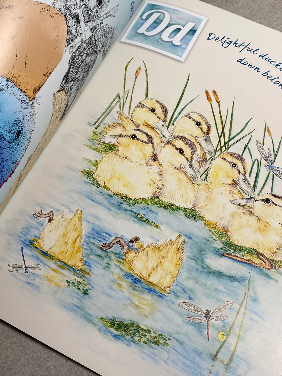 All Australian Alphabet Book – Hub n Hive