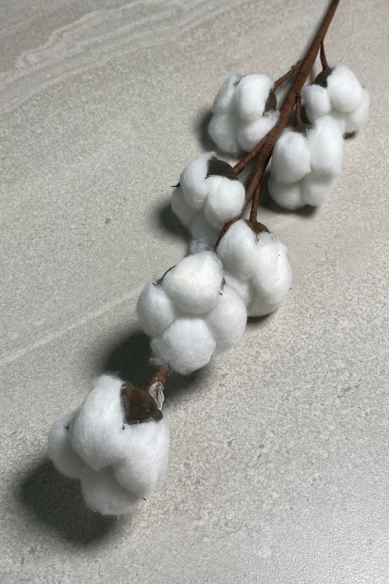 Cotton Spray – Hub n Hive