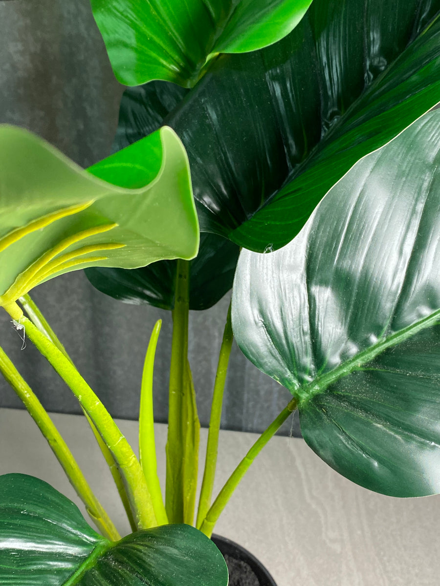 Faux Elephant Ears – Hub n Hive